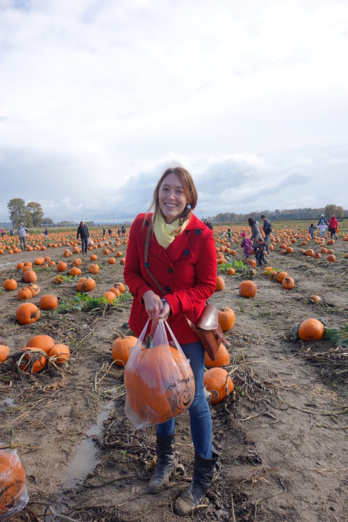 Falling for a New Season – Midday Musings