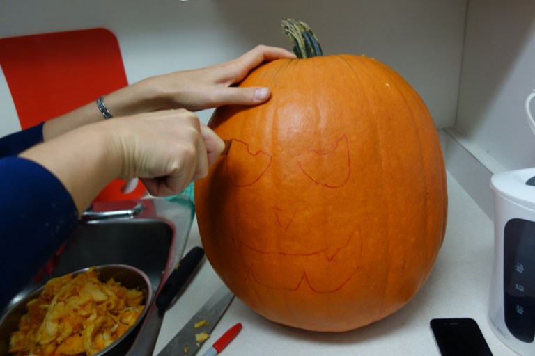 Falling for a New Season – Midday Musings