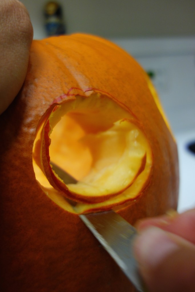 Falling for a New Season – Midday Musings